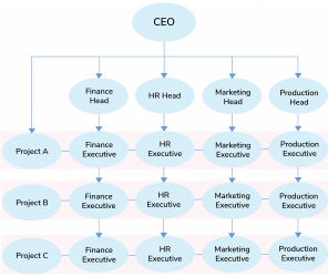 What is an Organizational Structure? | Keka HR