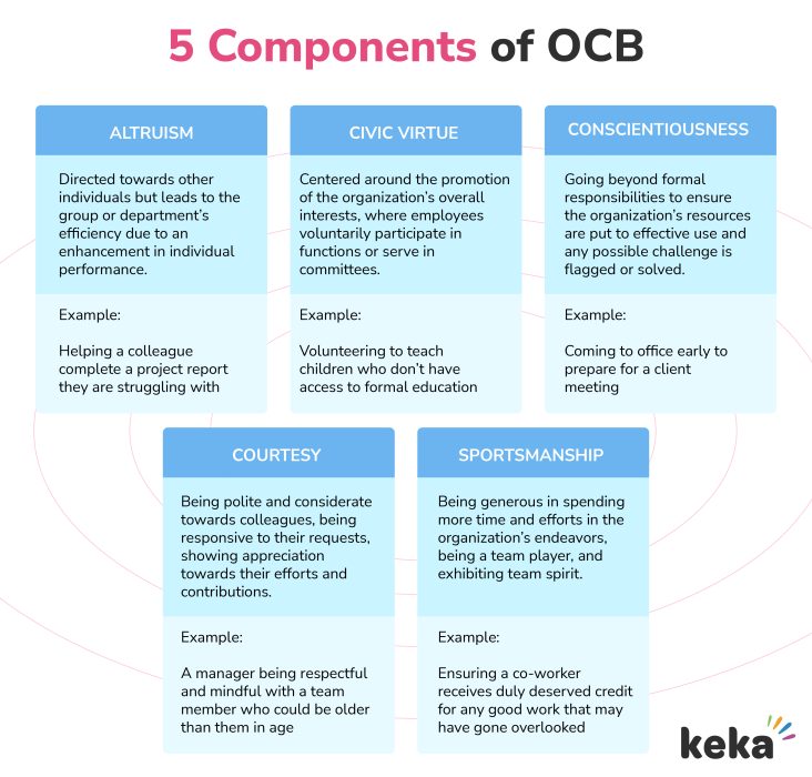 Going above and beyond – What is OCB? Does it impact an organization’s ...