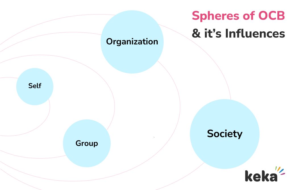 Going above and beyond – What is OCB? Does it impact an organization’s ...
