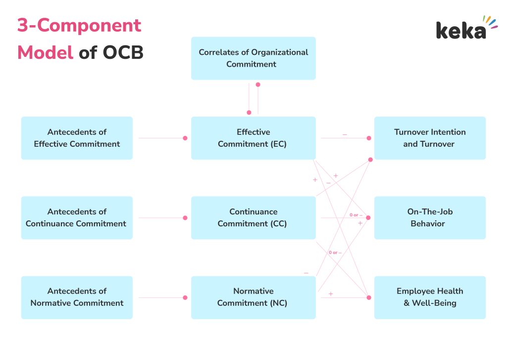 Going above and beyond – What is OCB? Does it impact an organization’s ...