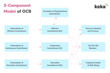 Going above and beyond – What is OCB? Does it impact an organization’s ...