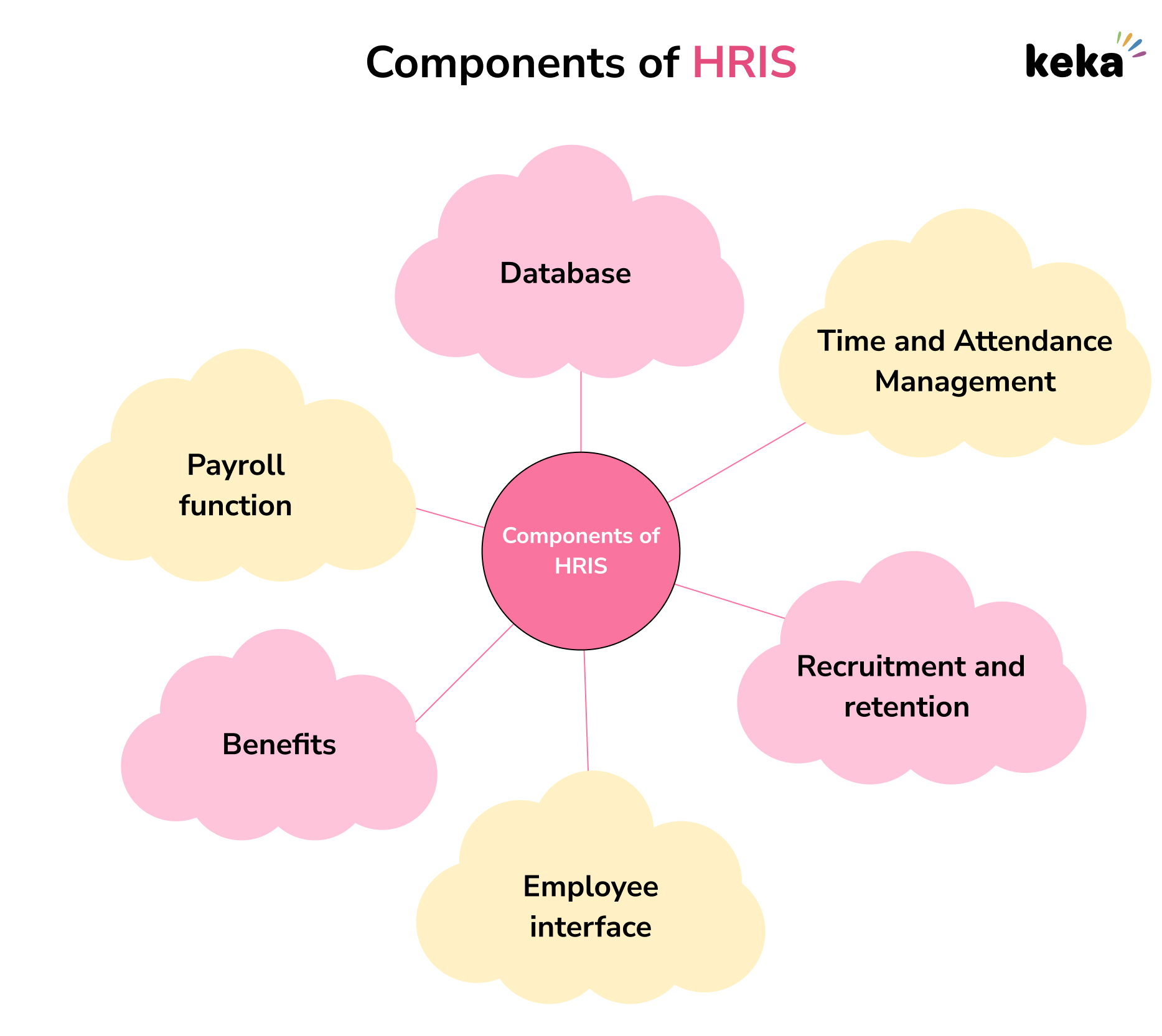 What is HRIS (Human Resource Information System): Types and ...