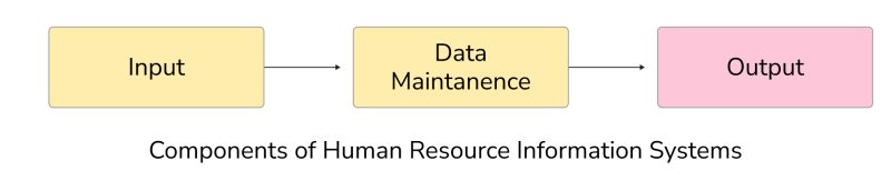 What is HRIS (Human Resource Information System): Types and ...