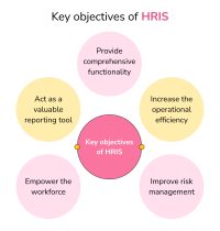 What is HRIS (Human Resource Information System): Types and ...