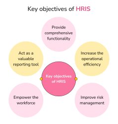 What is HRIS (Human Resource Information System): Types and ...
