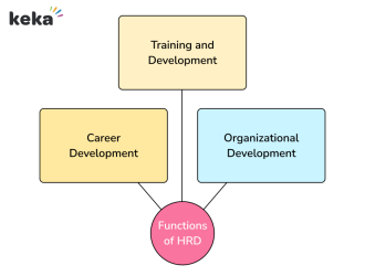 HRM vs HRD: 10 Key Differences With Definitions | Keka