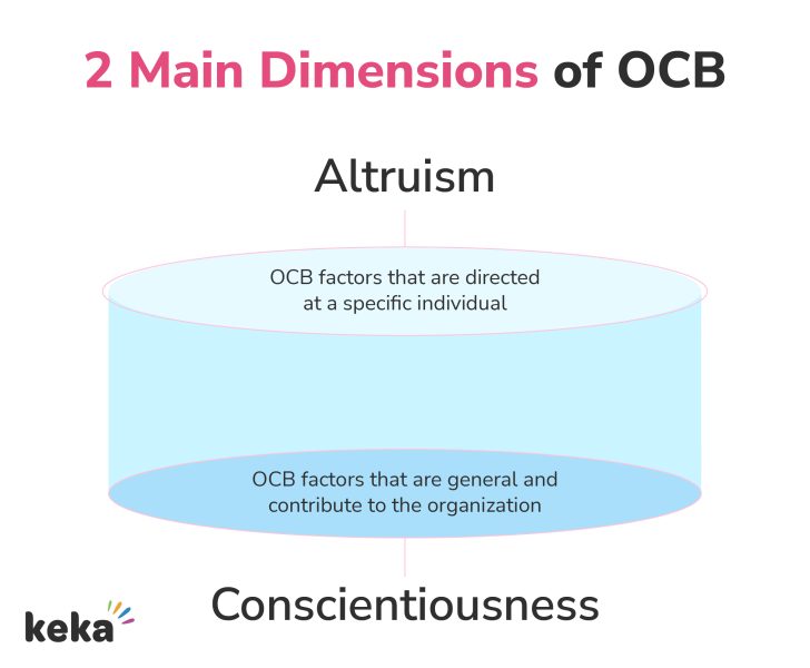 Organizational Citizenship Behavior (OCB) - It's Impact | Keka